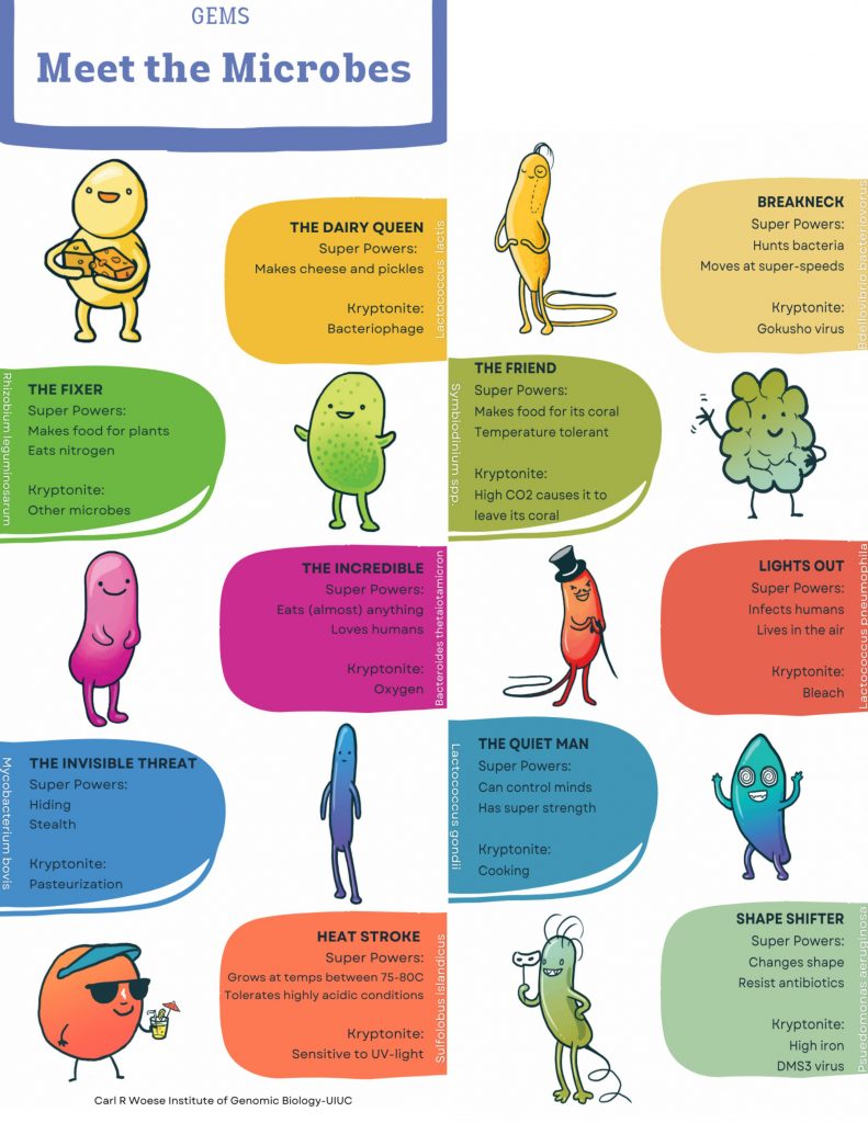 Meet the Microbes-English – Heath Lab