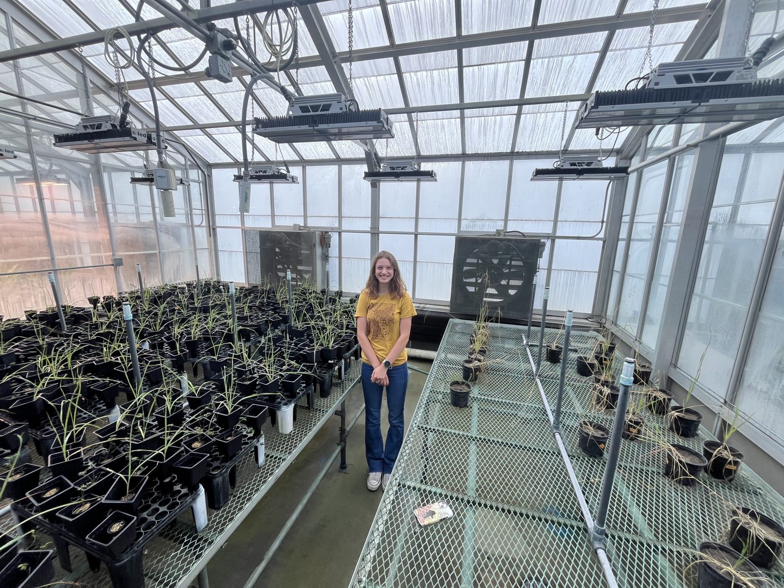 Heath Lab – FOR COEVOLUTIONARY GENOMICS